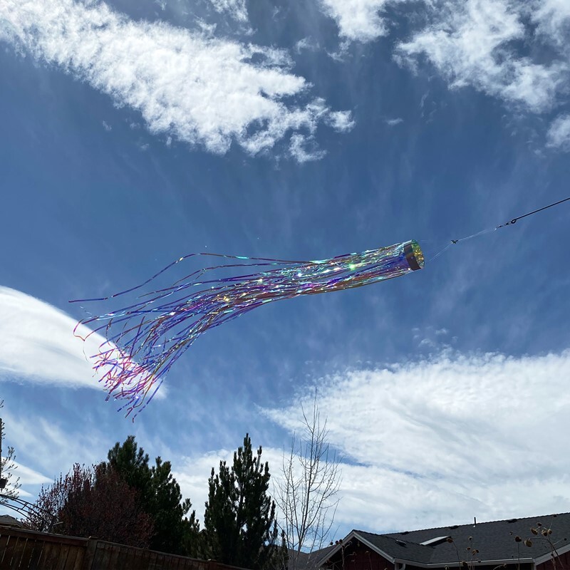 51" Holographic Mylar Windsock | eBay