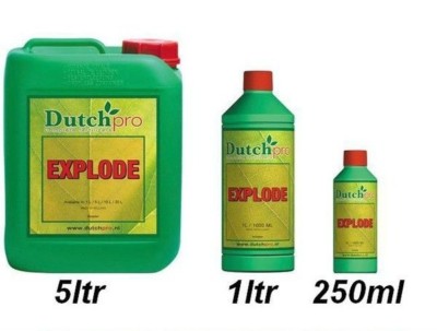 Dutch Pro Explode 250ml,1 litre and 5 litre 1L, 5L Bud Flowering Booster | eBay UK