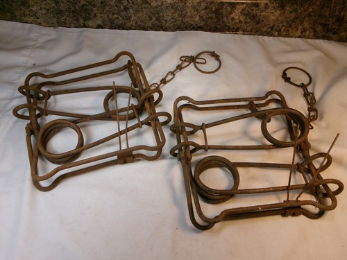 Lot of 2 Vintage Duke 220 Conibear Body Grip Animal Traps Raccoon ...
