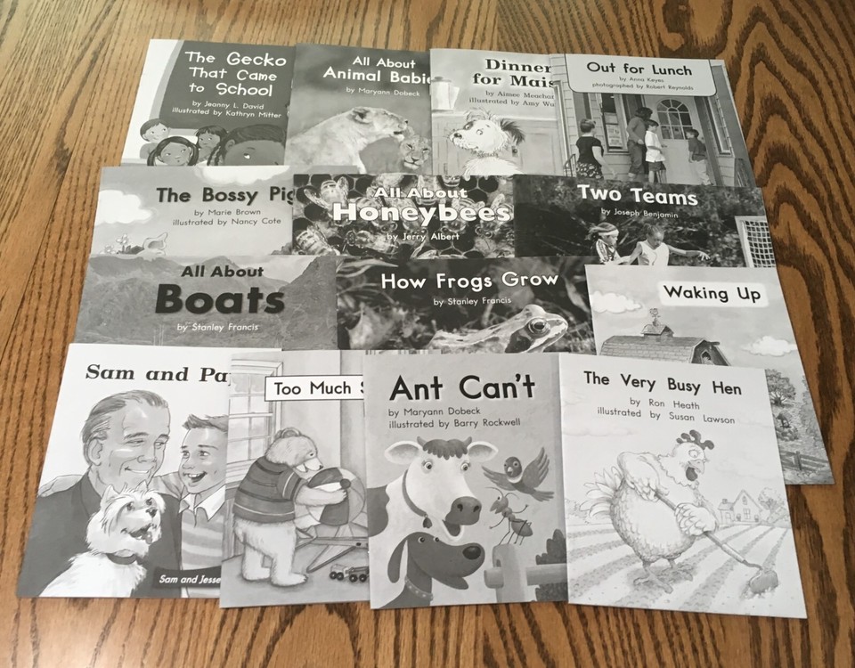 LOT OF 129 FOUNTAS & PINNELL LLI TAKE HOME BOOKS / GREEN SYSTEM / FIRST ...