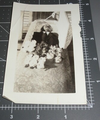 30 Open Casket Photos From Some Of History39s Biggest 879 Open Casket