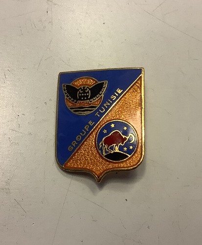 INSIGNE MÉTAL GROUPE BOMBARDEMENT 1/25 TUNISIE AUGIS AVIATION OCCASION ...