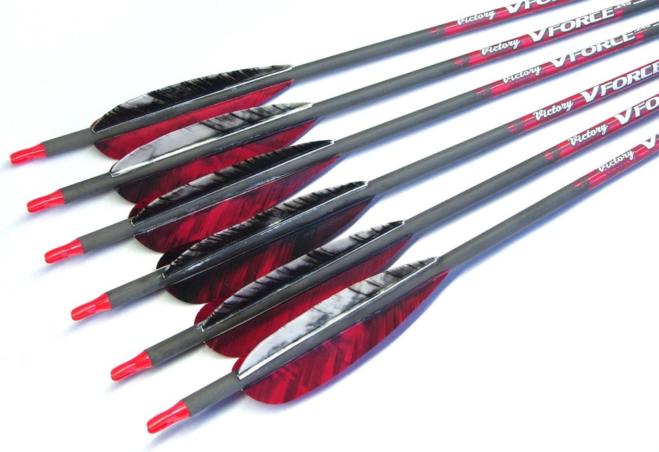 Victory V force Sport arrows for Traditional archery | eBay