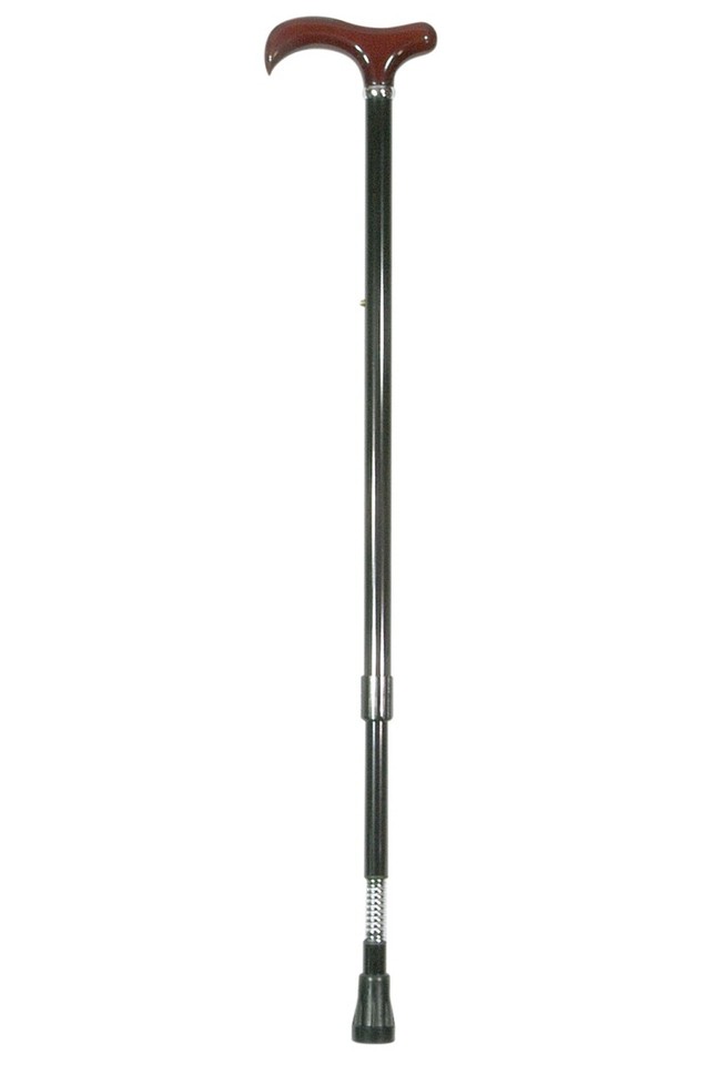 Shock Absorber Walking Stick - Petite | eBay UK