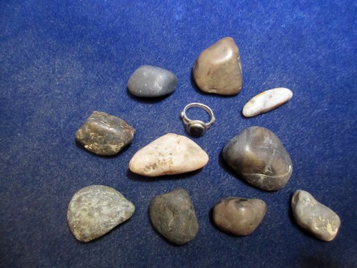DINOSAUR GIZZARD STONES / GASTROLITHS / EXOLITHS from WYOMING ...