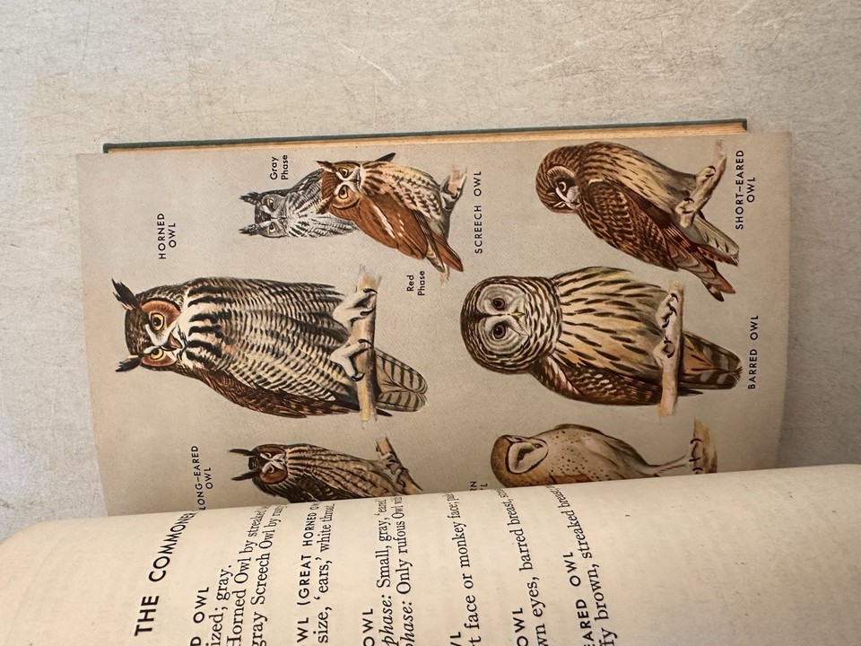 A Field Guide to the Birds : Roger Peterson - Audubon - 1947 Printing ...
