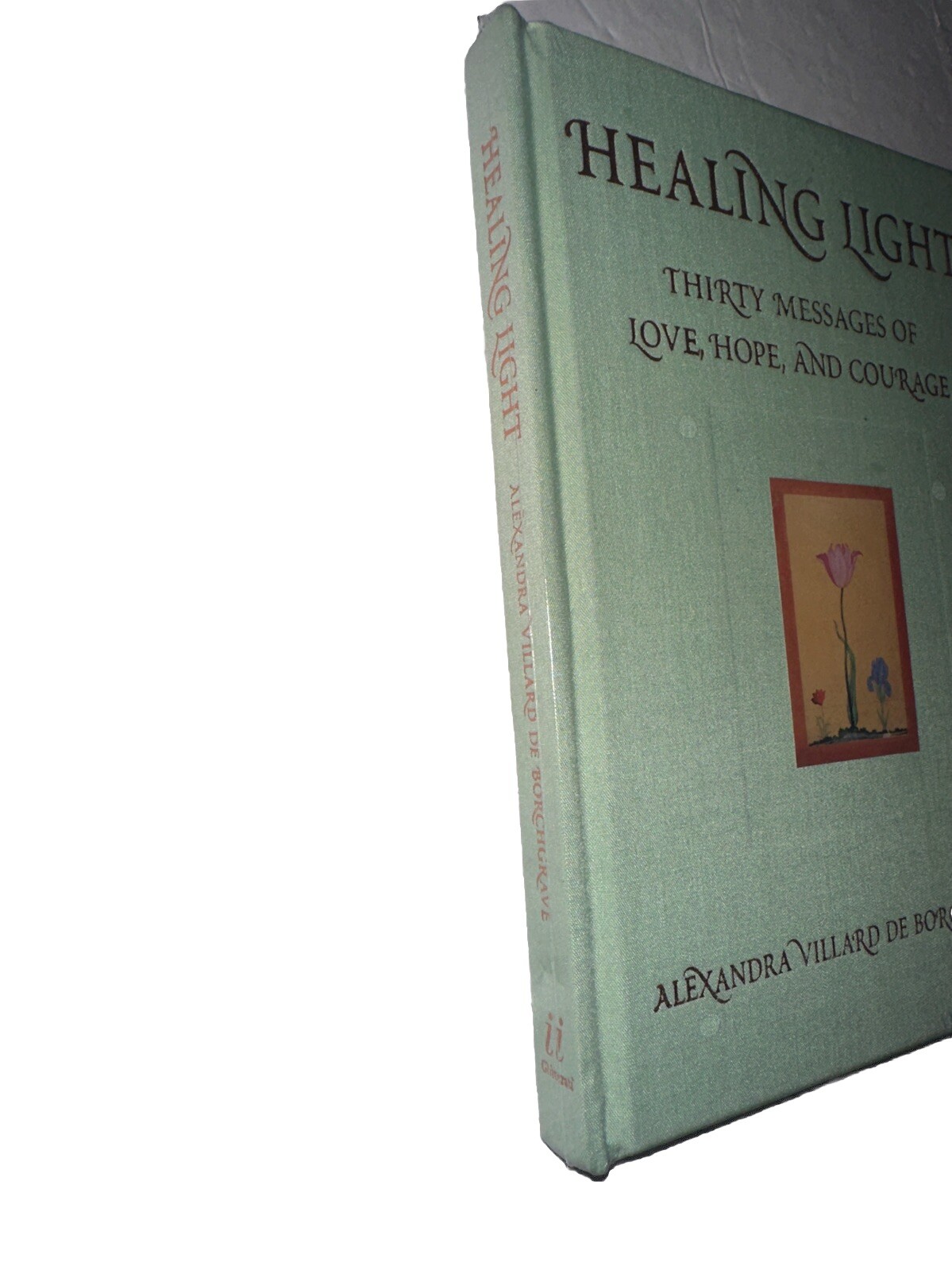 Healing Light : Thirty Messages of Love, Hope, and Courage by Alexandra ...
