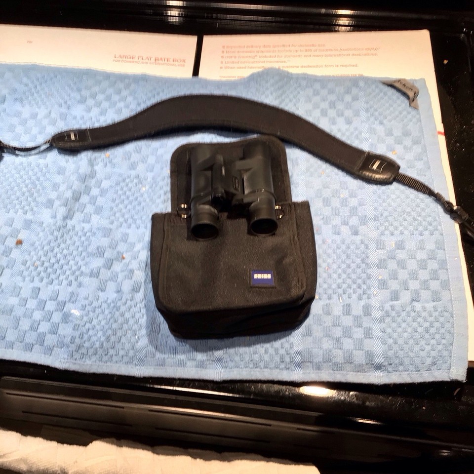 Carl Zeiss used binoculars 10X25B T * 256809 Strap And Case Included | eBay