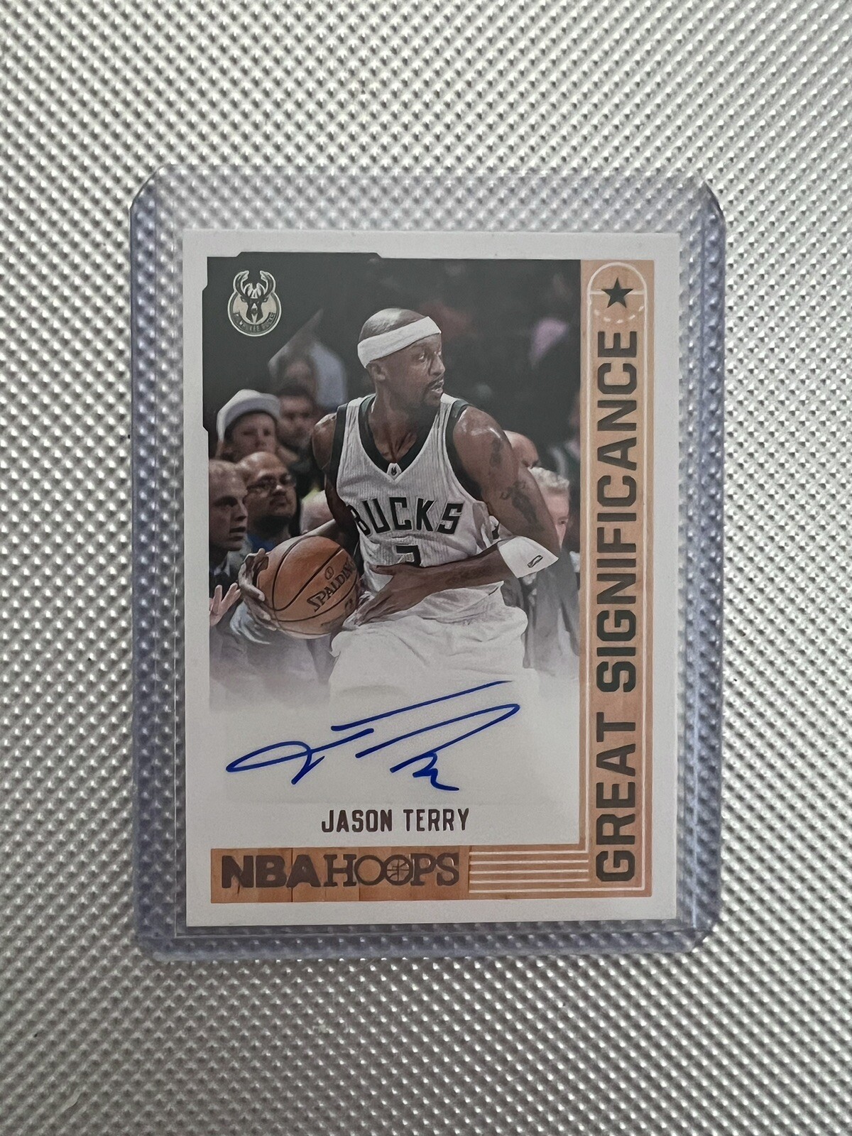 2017-18 Panini NBA Hoops Jason Terry Great Significance Autograph #GS ...