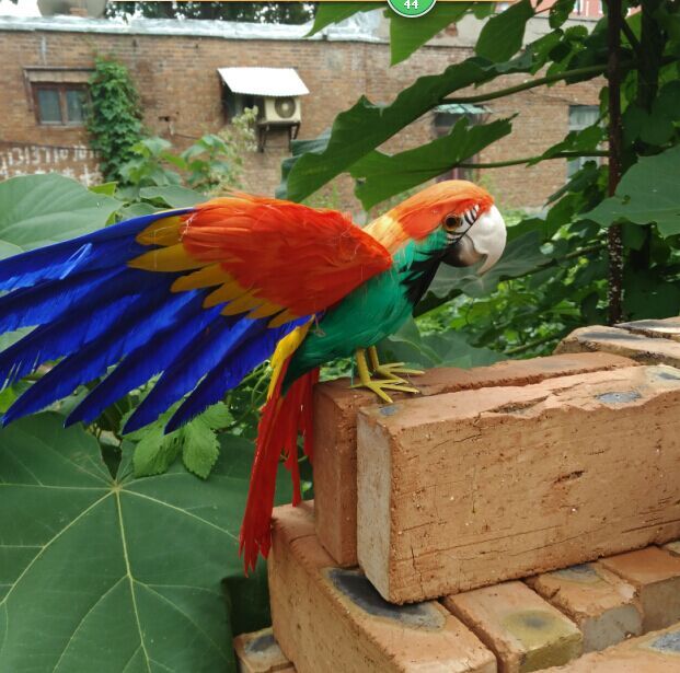 simulation wings parrot model foam&furs orange parrot toy gift about ...