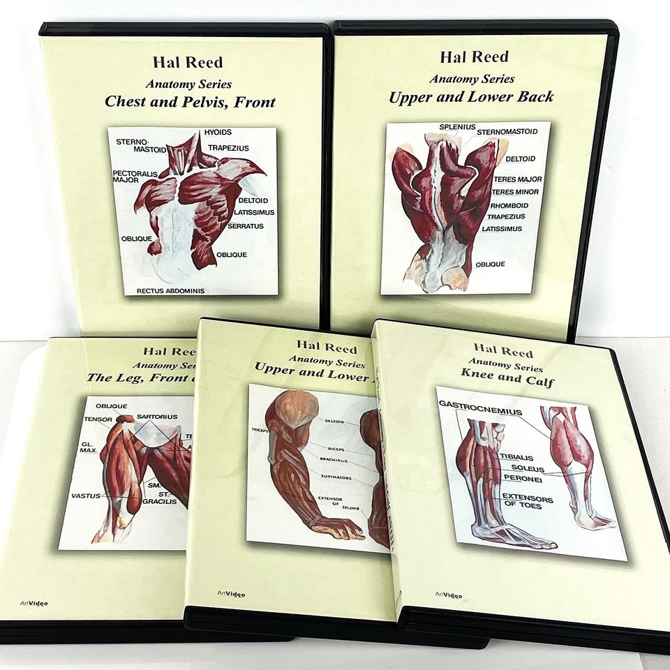 Hal Reed 5-Set Anatomy Art Instruction DVDs Torso and Extremities | eBay
