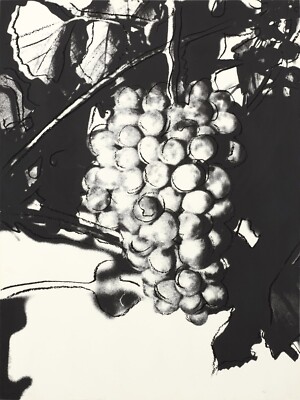 ANDY WARHOL Surrealism Poster or Rolled Canvas Print "GRAPES" F | eBay
