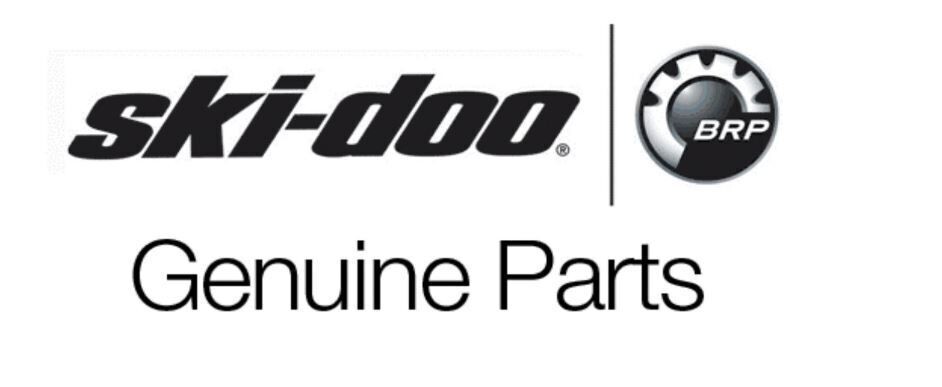 Ski-Doo New OEM Windshield Mount Mirrors Trail 860202679 | eBay