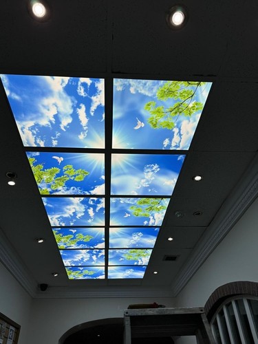 Blue Sky LED Ceiling Recessed Light 160W Panel 4-Pack 600x600 Bird ...