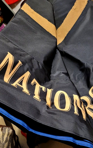 MODELO BEER LAS VEGAS RAIDERS NFL CANOPY REPLACEMENT COVER 10x10 HEAVY ...