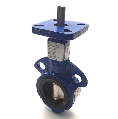 DelVal Flow Controls DN50/2" 50020141E1B0 Butterfly Valve, 2" Pipe Size ...