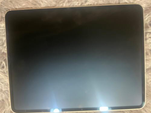 Apple iPad Pro 13-inch (M4) A2925 2 TB, Wi-Fi, 13 in - Silver | eBay