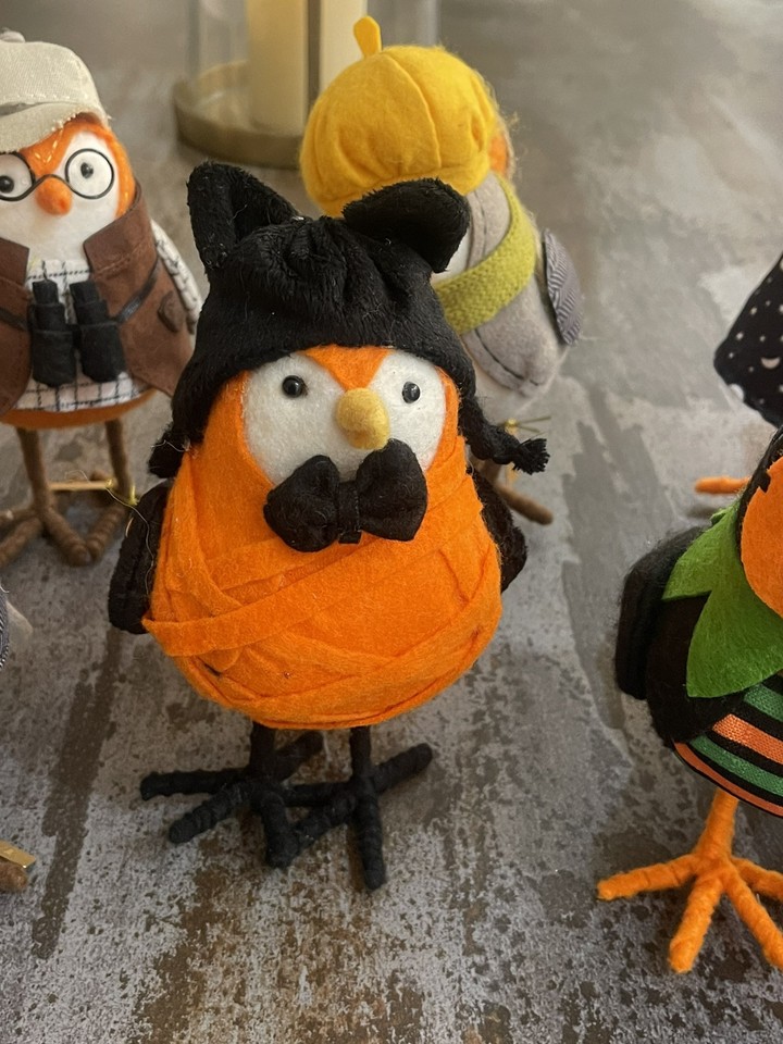 TARGET BIRDS Featherly Friends Halloween & Fall Lot of 11 GRADY CLAWSON ...