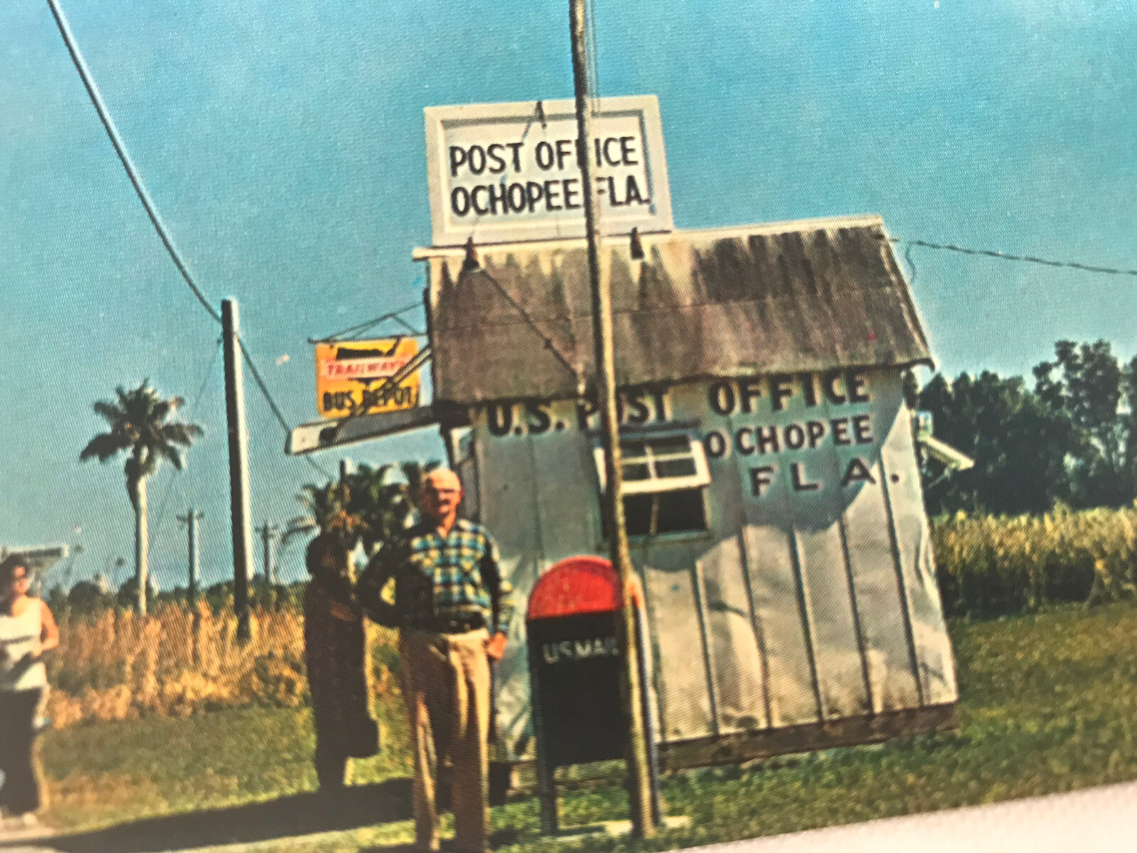 Vintage Florida's Smallest Post Office in Ochopee, Fl Unposted Postcard ...