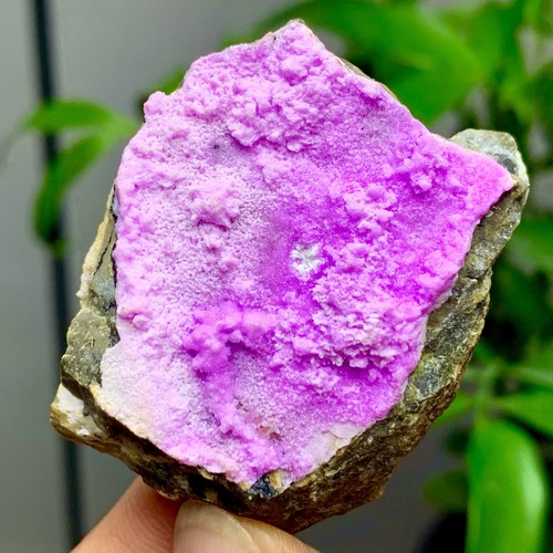 37G Natural Purple Pink Cobalt CobaltoCalcite Crystal Gemstone Rare ...