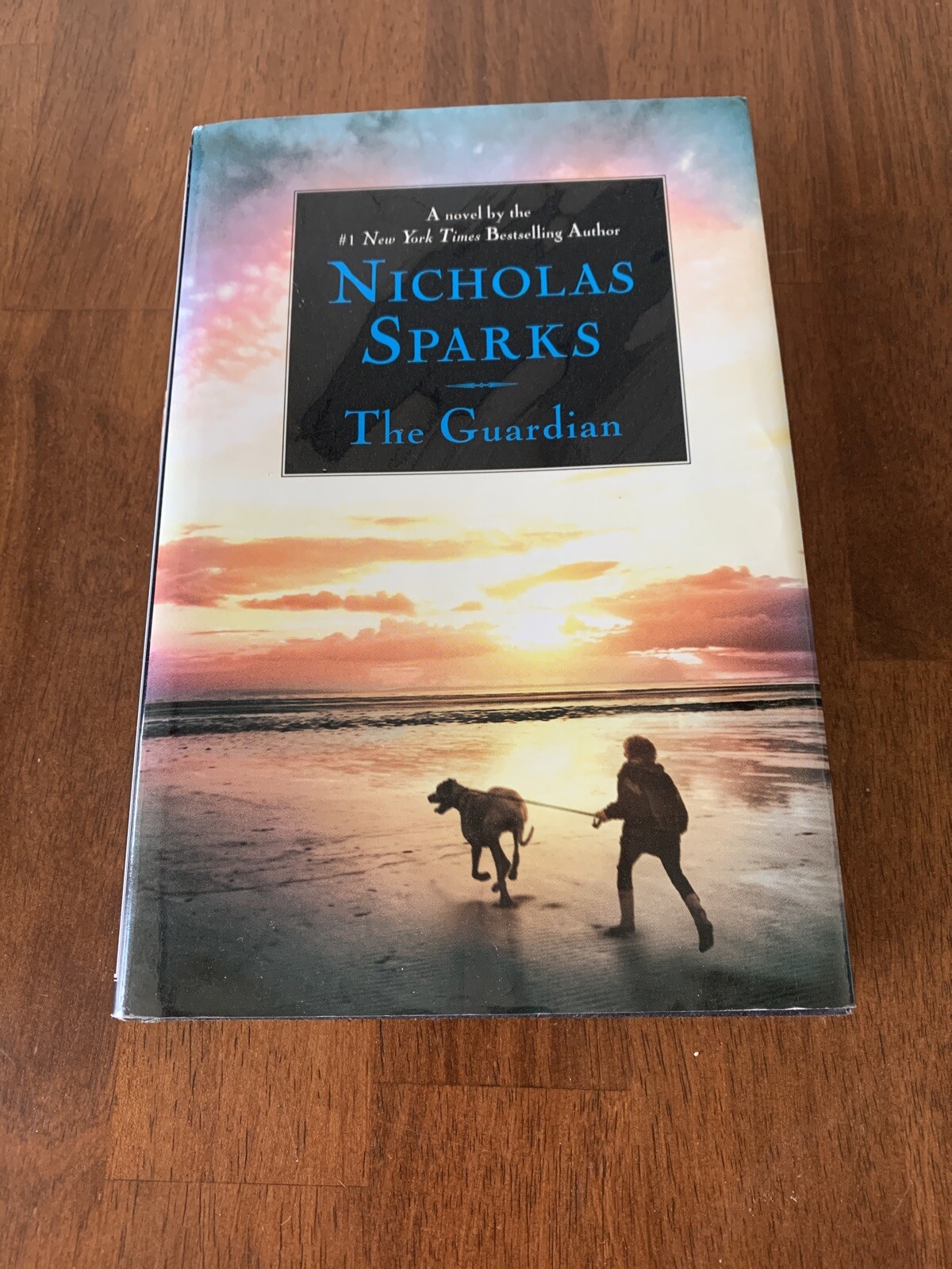 The Guardian by Nicholas Sparks (2003, Hardcover) 9780446527798| eBay