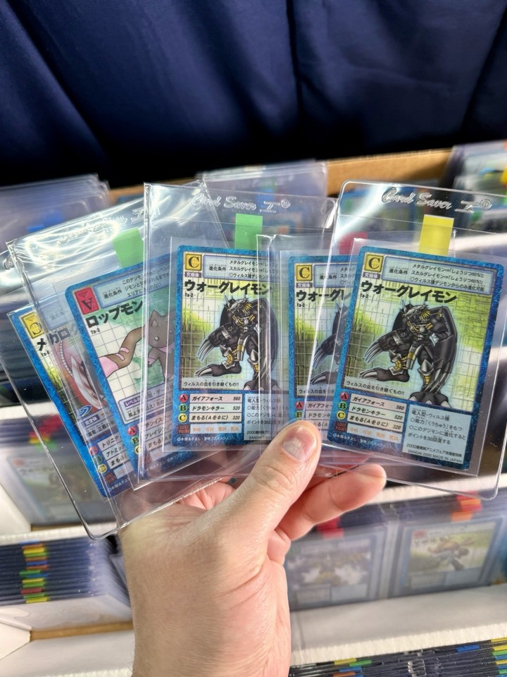 HUGE 500+ Digimon Digital Monster Hyper Colosseum Card Lot! Holos ...