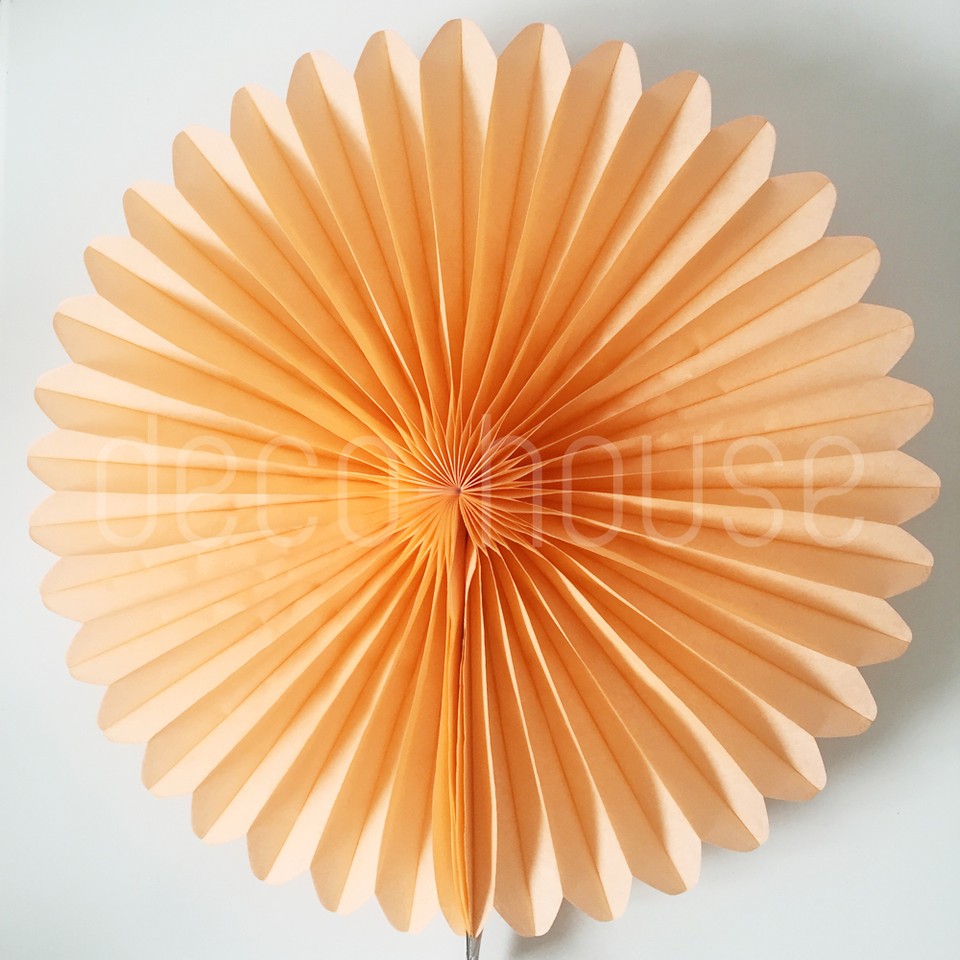 Tissue Paper Flower Hanging Fan Wedding Birthday Garland Party Decor ...