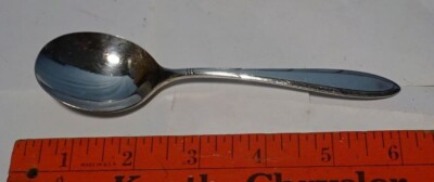 * Vintage - NICE - SOUP or BULLION SPOON - NOBILITY Plate - REVERIE ...