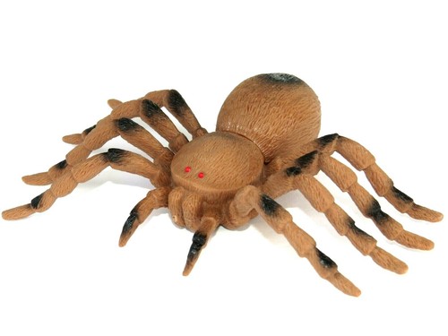 Beautiful Detail Realistic 6" Tarantula Spider Plastic PVC Toy Figure ...