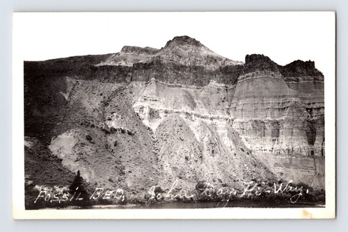 Postcard RPPC Oregon John Day Fossil Bed 1940s Unposted EKC | eBay
