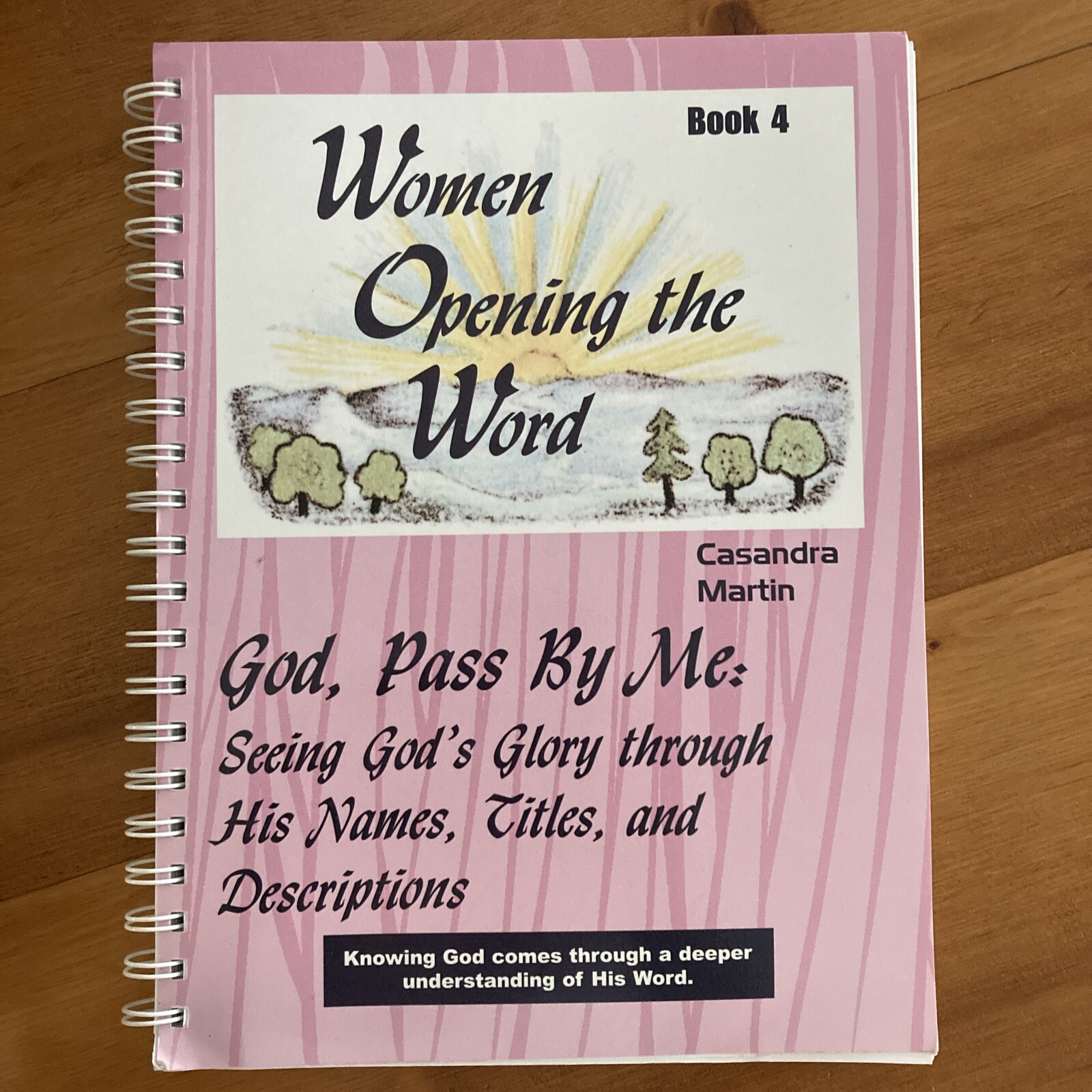 WOMEN OPENING THE WORD BOOK 4: GOD, PASS BY ME: By Casandra Martin VG ...