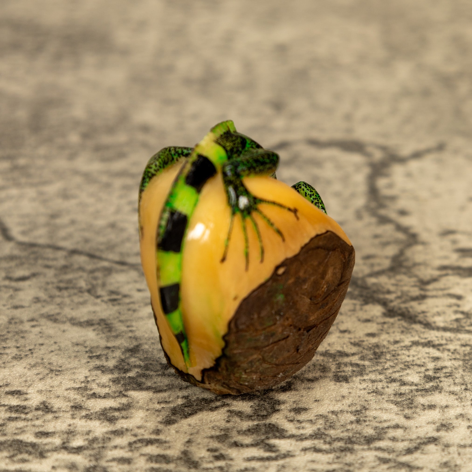 Green Iguana Lizard Tagua Nut Carving | eBay