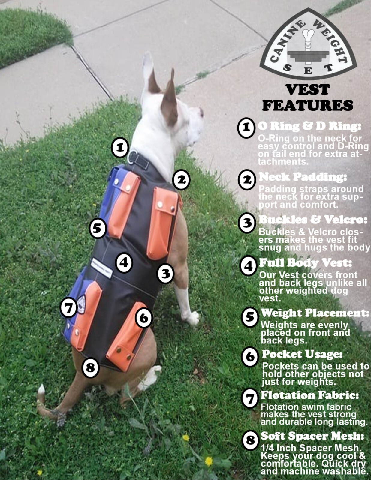 CWS Weighted Dog Vest + Flotation Vest - WEIGHTS INCLUDED - XXS - XL | eBay