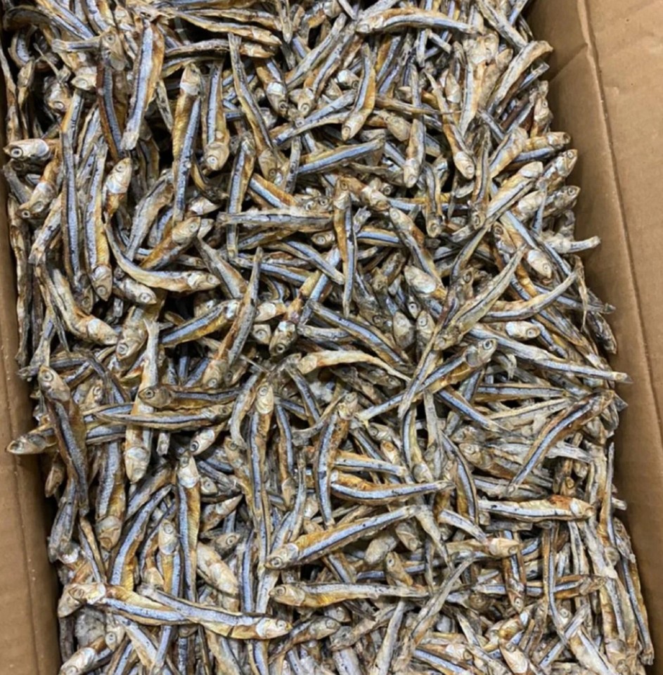 Sun Dried Salted Sprats Anchovy (Halmasso) Headless Sprats 100% High ...
