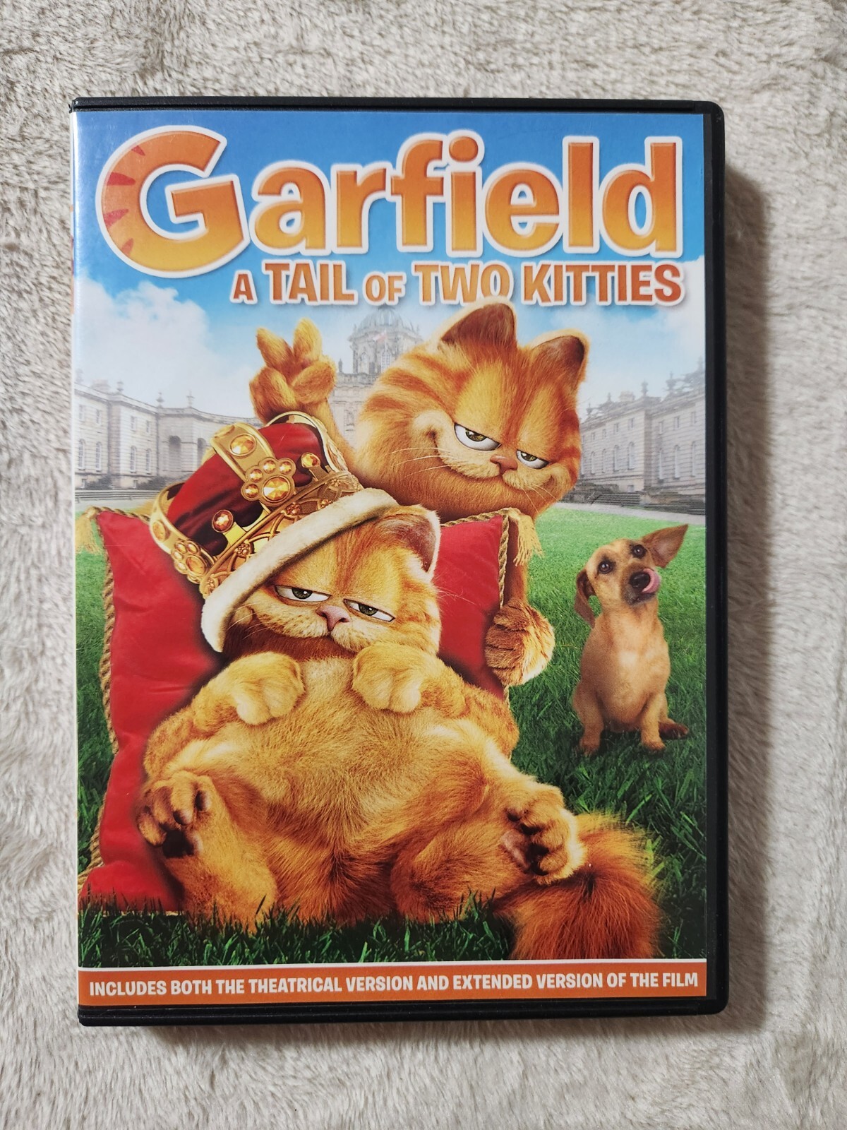 Garfield: A Tail of Two Kitties (DVD, 2006) 24543387381| eBay