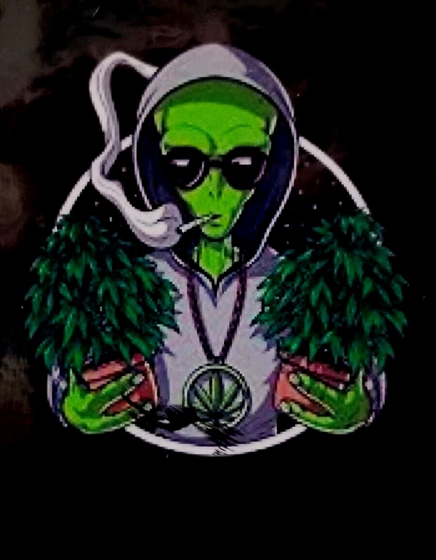Weed Astronaut In Space