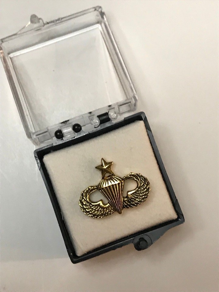 Paratrooper pin, parachuting pin, gold tone pin, military pin ...