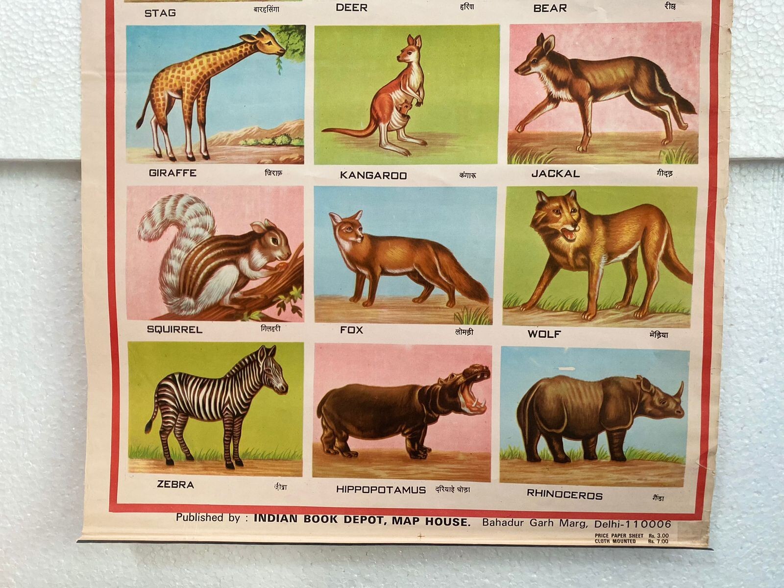Indian Animals Chart