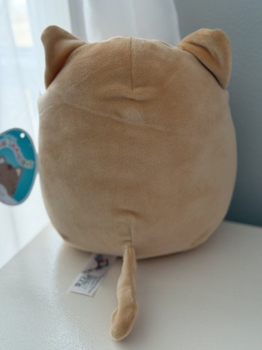 Squishmallows Nathan the cat 8” Squishmallow NEW!!! EASTER GIFT ...