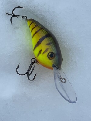 Custom Painted Strike King 6XD, Rattle Version, Bold Prey | eBay