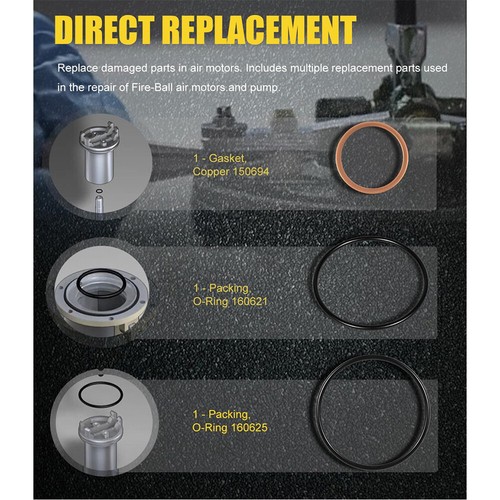 Repair Kit 238286 for Graco Fire-Ball 300 5:1 Oil Grease Pumps Fluid ...