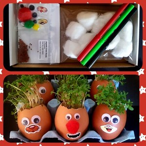 Kids Grow Your Own Cress Kit Eggy Egg Heads Fun Educational Gift Girl ...