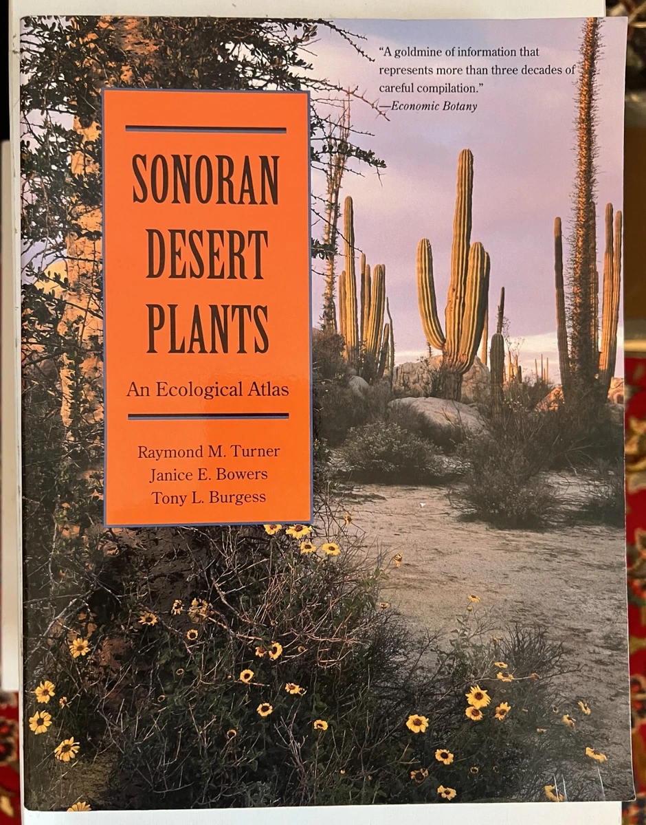 Sonoran Desert Plants
