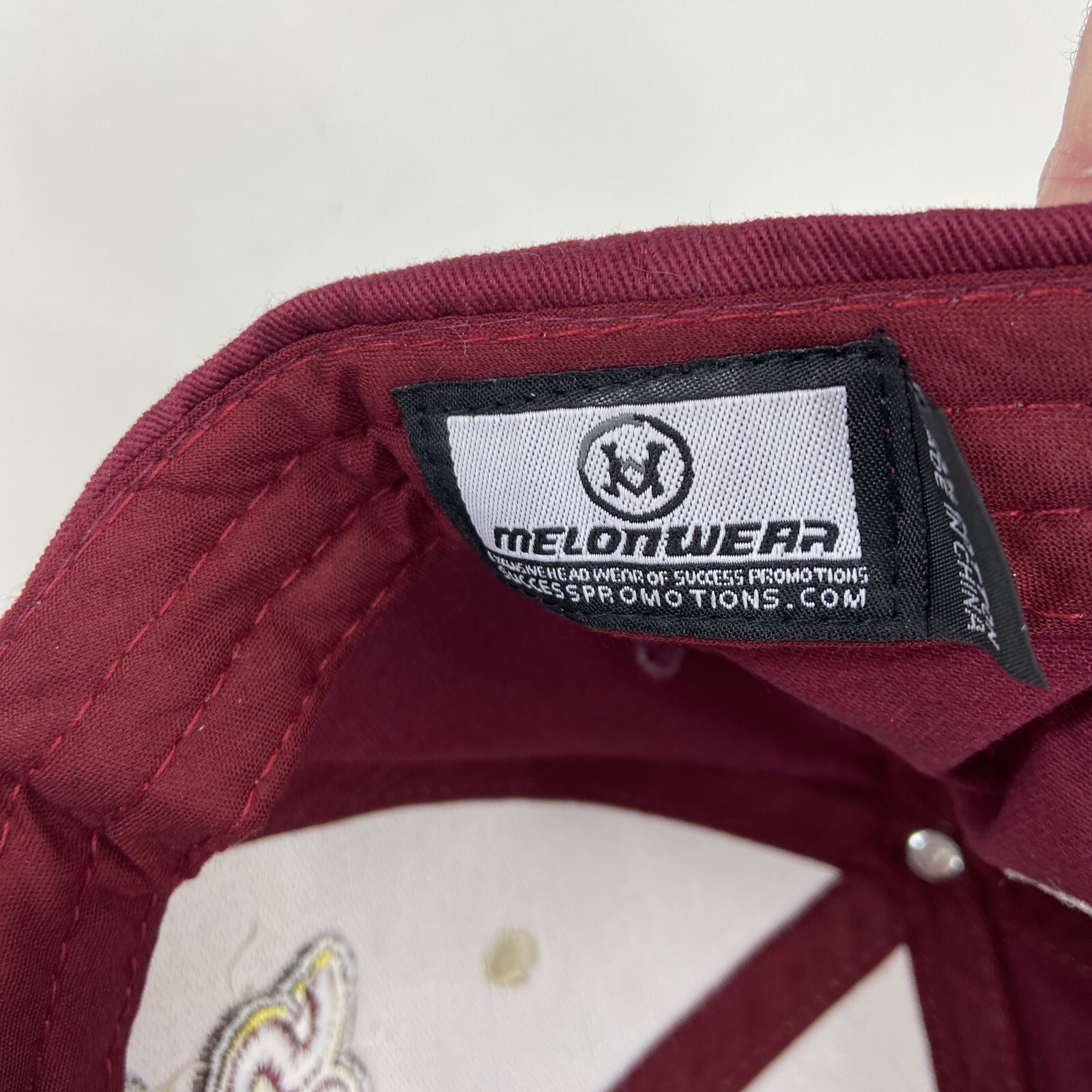 Lehigh Valley Iron Pigs Festers 2019 Musikfest Baseball Hat Service ...