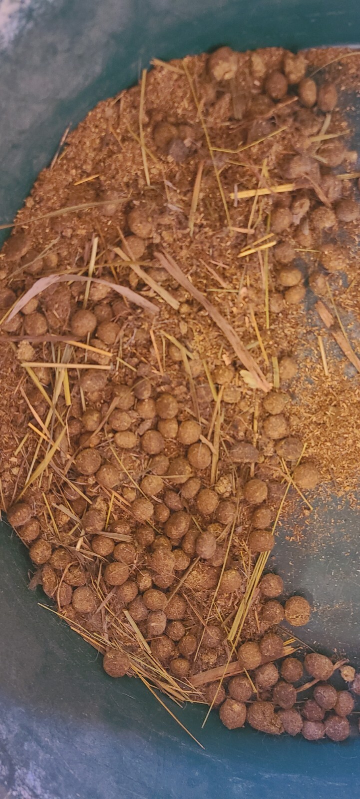 3 1bs Pound Poop Pellet Manure Organic Garden Fertilizer | eBay