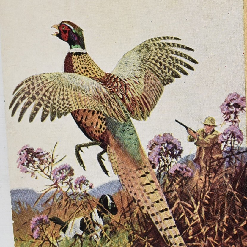 1950s Rex Stinchcomb Eugene Oregon Osborne Company Clifton New Jersey ...