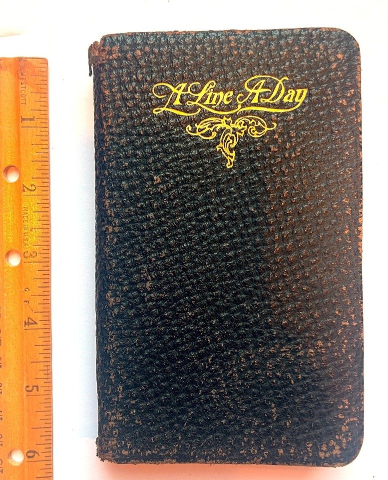 1892 A Line A Day Woman's Handwritten DIARY Samuel Ward Antique Boston ...