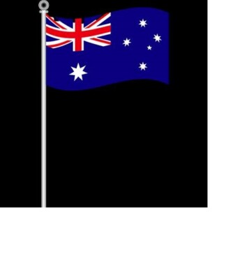 4PK Australian Flag Large Wavers Hand Held Aussie Flag 60x90cm | eBay ...