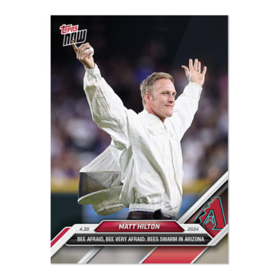 Matt Hilton - 2024 MLB TOPPS NOW Card #145 Baseball Beekeeper Bees ...