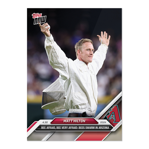 Matt Hilton - 2024 MLB TOPPS NOW Card #145 Baseball Beekeeper Bees ...